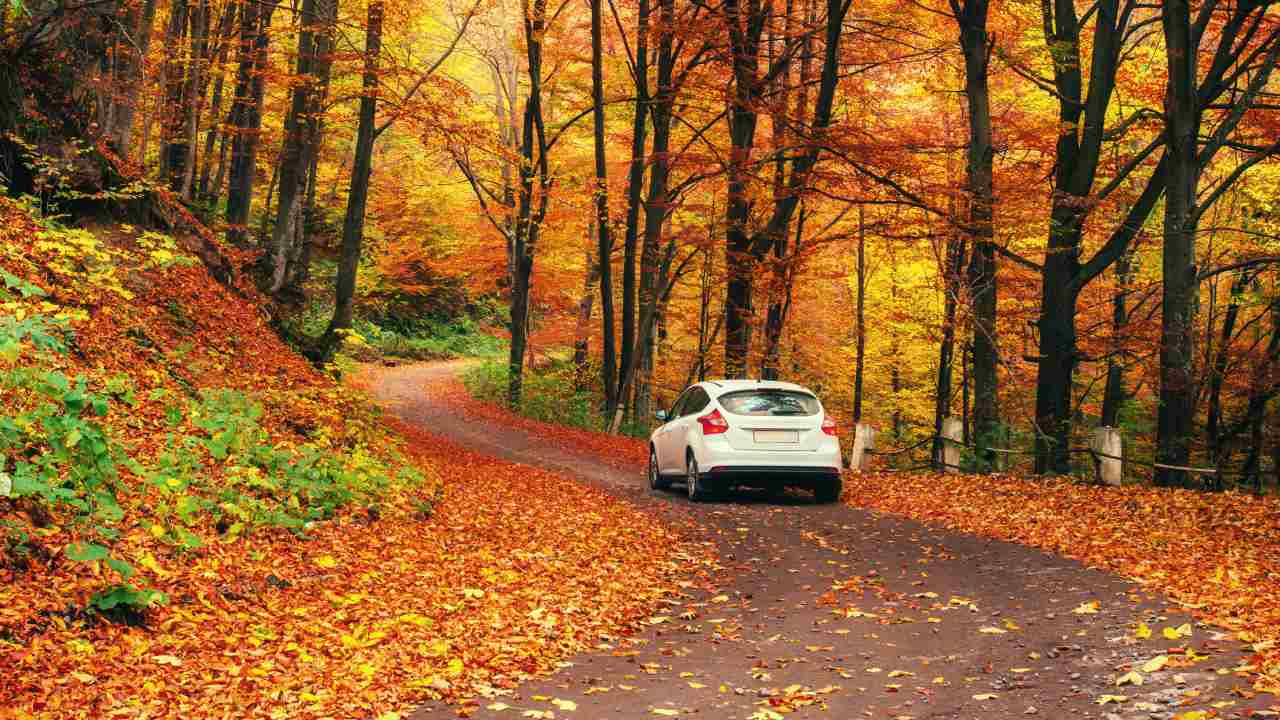 How to Prepare Your Car For the Autumn? – Pedal Commander